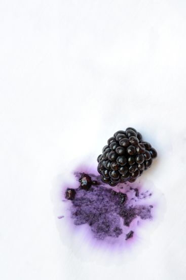Blackberry Blackberry Stain On Fabric Stain Editorial Stock Photo ...