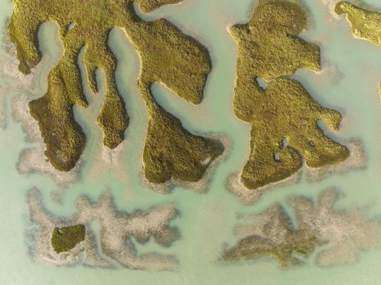 Patches Land Appear While Tide Going Editorial Stock Photo - Stock ...