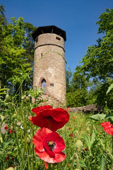 Historic Hachelturm Spring Flowers Foreground Pforzheim Editorial Stock ...