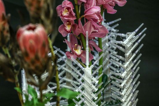 Exhibit Featuring Flower Arrangement Syringes Shown Editorial Stock ...