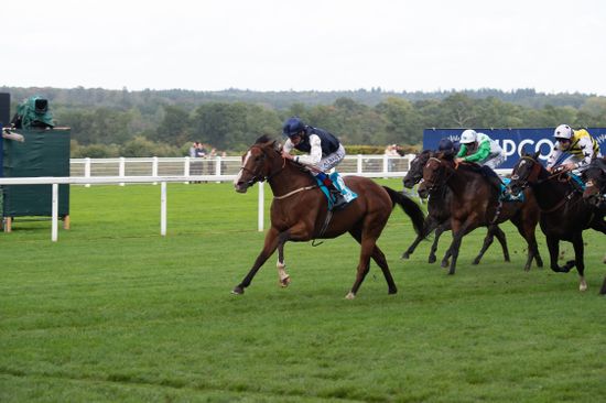 Horse Rohaan Ridden By Jockey Adam Editorial Stock Photo - Stock Image ...