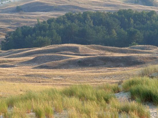 Parnidis Dune Curonian Spit National Park Editorial Stock Photo - Stock ...