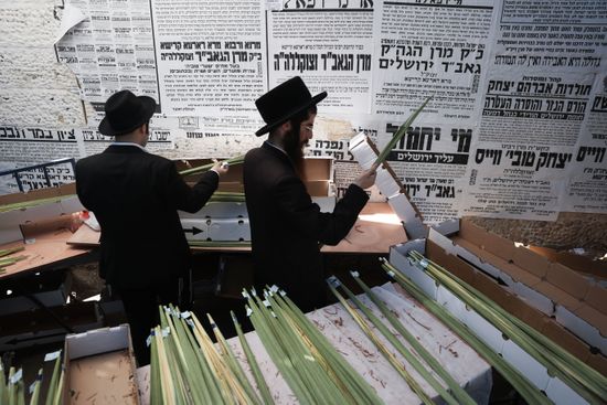 Ultraorthodox Jewish Men Inspect Lulav Palm Editorial Stock Photo ...