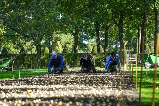 Lisse Garden Staff Have Started Planting Editorial Stock Photo - Stock ...