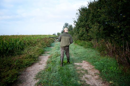 Hunter His Rifle During Hunting Trip Editorial Stock Photo - Stock ...