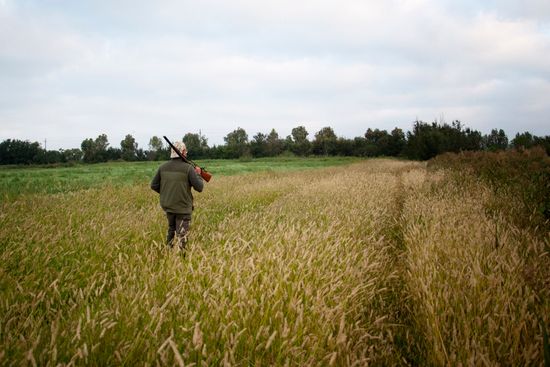 Hunter His Rifle During Hunting Trip Editorial Stock Photo - Stock ...