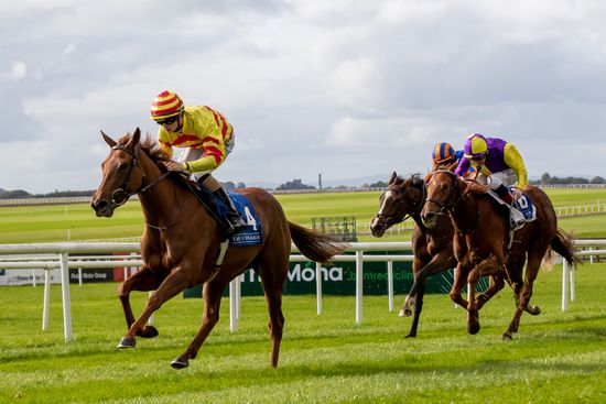 Staffordstown Stud Stakes Group 3 Mikey Editorial Stock Photo - Stock ...