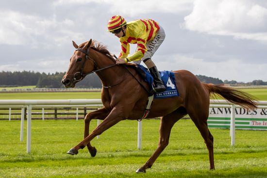 Staffordstown Stud Stakes Group 3 Mikey Editorial Stock Photo - Stock ...