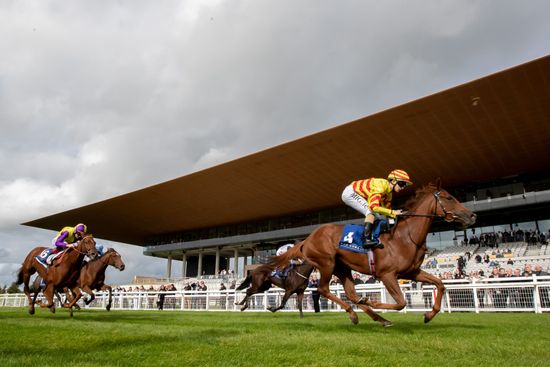 Staffordstown Stud Stakes Group 3 Mikey Editorial Stock Photo - Stock ...