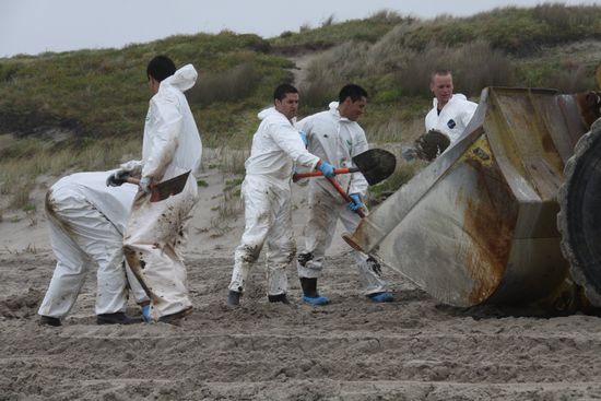 Cleanup Crews Hard Work Cleaning Shores Editorial Stock Photo - Stock ...