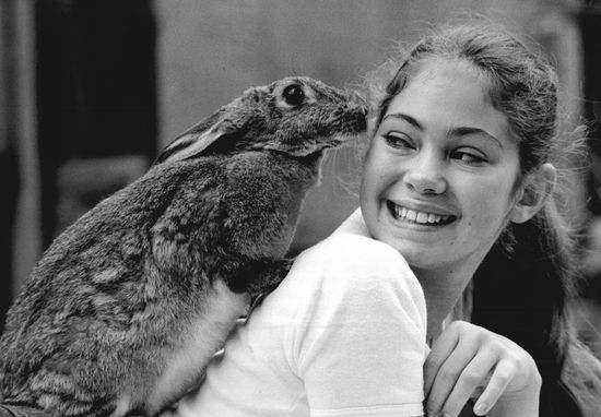 Honeybun Rabbit Rescued Libya Pictured Her Editorial Stock Photo ...