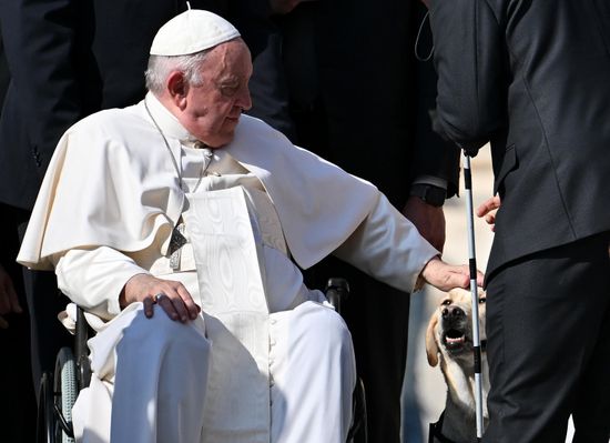 Pope Francis Sitting On Wheelchair Pets Editorial Stock Photo - Stock ...