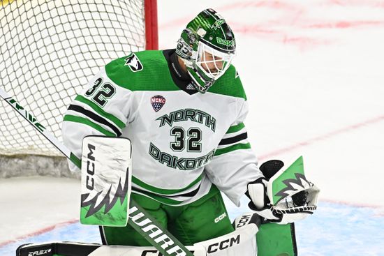 North Dakota Fighting Hawks Goaltender Jakob Editorial Stock Photo - Stock Image | Shutterstock