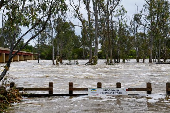 Flood Water Loddon River Bridgewater Victoria Editorial Stock Photo ...