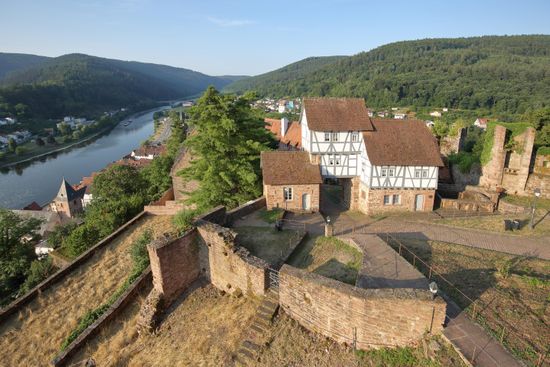 Castle Built 1270 Gatehouse View Hirschhorn Editorial Stock Photo ...
