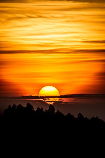 Sunrise Over Trees Rwanda Editorial Stock Photo - Stock Image ...