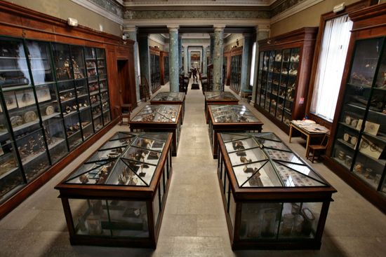 Inside View Museum Anatomy Which Reopens - Foto de stock de contenido ...