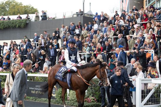 Horse Rohaan Ridden By Jockey Adam Editorial Stock Photo - Stock Image ...