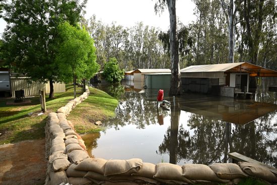 Sandbagging Barmah Bridge Caravan Park Barmah Editorial Stock Photo ...