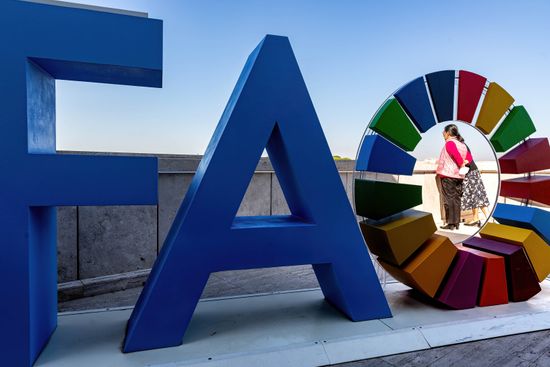 Participants Stand By Fao Logo They Editorial Stock Photo - Stock Image ...