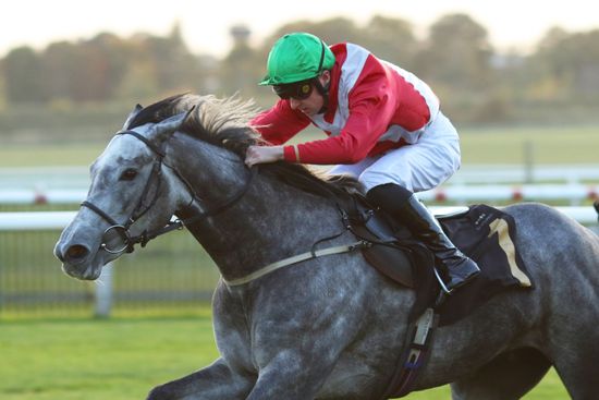 Speriamo Ridden By Adam Farragher Winning Editorial Stock Photo - Stock ...