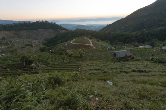 Crop Fields Surrounding Lahu Village Chiang Editorial Stock Photo ...