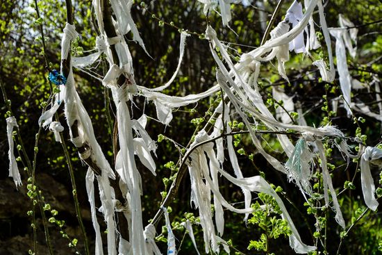 White Ribbons On Wishing Tree Chechkysh Editorial Stock Photo - Stock ...