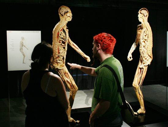Our Body Exhibition Lyon France On Editorial Stock Photo - Stock Image ...