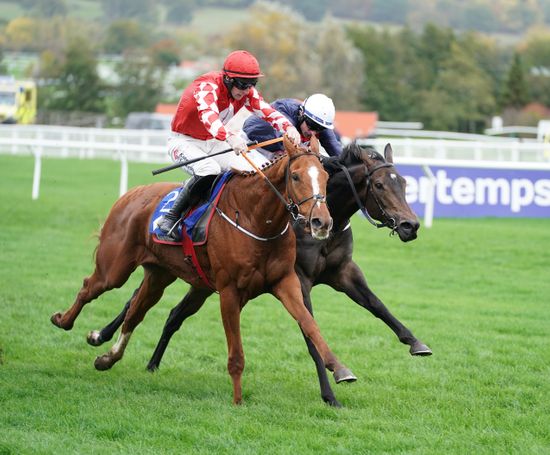 Cheltenham Racecourse Masterson Holdings Hurdle Race Editorial Stock ...
