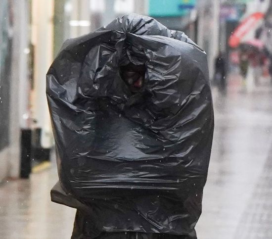 Man Covers His Heard Bin Bag Editorial Stock Photo - Stock Image ...