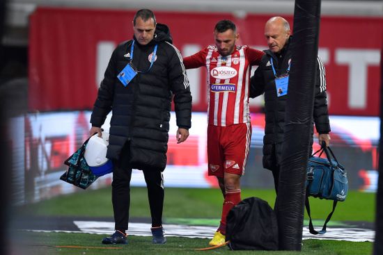 Dimitrov Radoslav Injured Action During Game Editorial Stock Photo ...