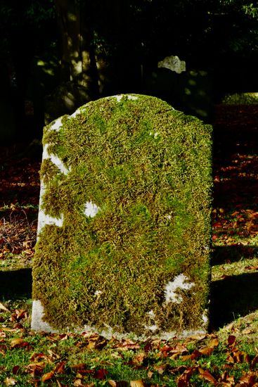 Moss Lichen Covered Gravestones Autumnal Sunshine Editorial Stock Photo ...