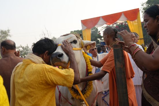 Devotees Iskcon Temple Offering Prayers On Editorial Stock Photo ...