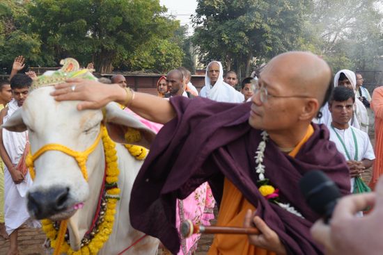 Devotees Iskcon Temple Offering Prayers On Editorial Stock Photo ...