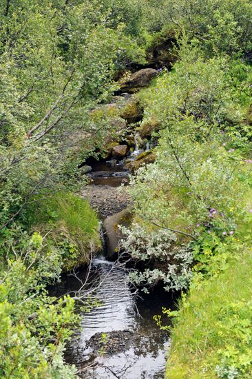 Small Stream Flows On Edge Valley Editorial Stock Photo - Stock Image ...