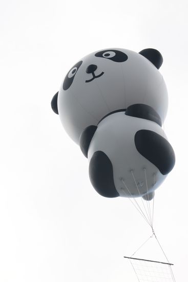 Giant Panda Balloon Seen Ueno Taito Editorial Stock Photo - Stock Image ...