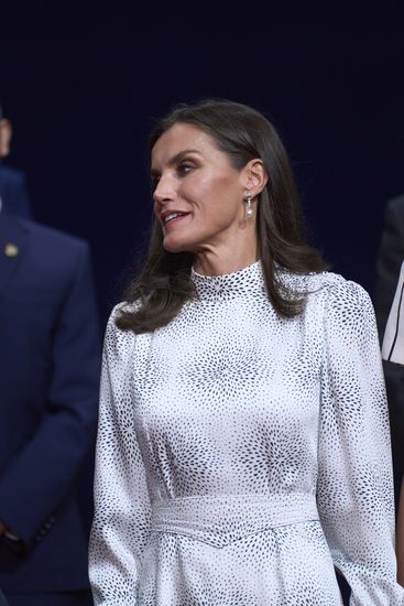 Queen Letizia Attends Audience Princess Asturias Editorial Stock Photo ...