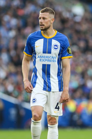 Brighton Hove Albion Defender Adam Webster Editorial Stock Photo ...