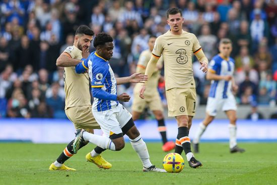 Brighton Hove Albion Defender Tariq Lamptey Editorial Stock Photo ...