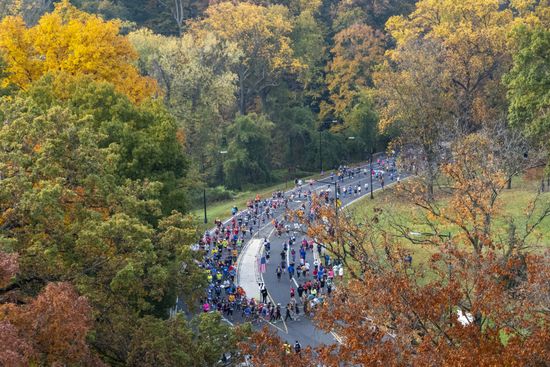 Autumn Colors Highlighted Runners Marine Corps Editorial Stock Photo ...