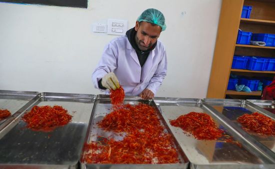 Government Employee Displays Saffron After Picking Editorial Stock ...