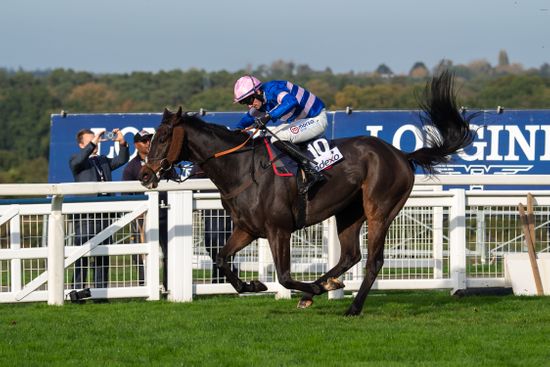 Horse Danny Kirwan Ridden By Jockey Editorial Stock Photo - Stock Image ...