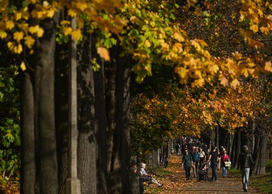 People Walk On Washington Avenue On Editorial Stock Photo - Stock Image ...