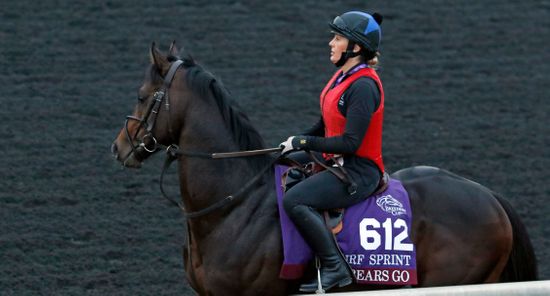 Go Bears Go Training Breeders Cup Editorial Stock Photo - Stock Image ...