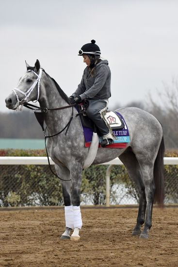 Lexington Packs Wahlop Morning Trackwork Keeneland Editorial Stock ...