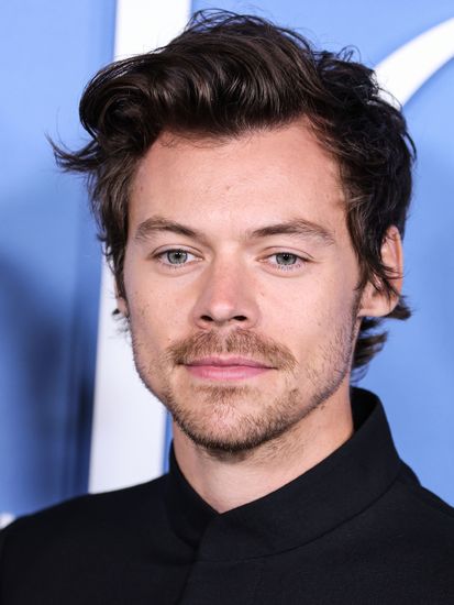 English Singer Songwriter Actor Harry Styles Editorial Stock Photo ...