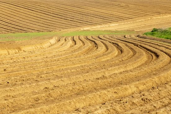 Ridges Furrows Sandy Soil Farm Field Editorial Stock Photo - Stock ...