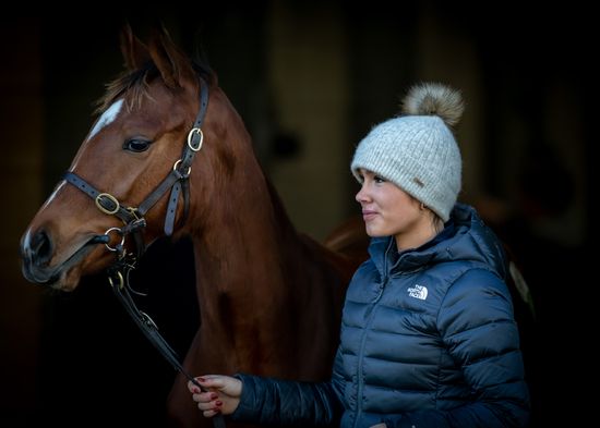 Sarah Rohan Waits Bring Her Foal Editorial Stock Photo - Stock Image ...