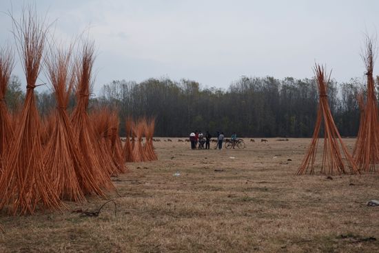 Workers Puts Wicker Sticks Sundrying Village Editorial Stock Photo ...