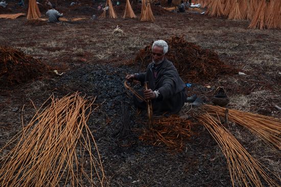 Workers Peel Skin Wicker Sticks Village Editorial Stock Photo - Stock ...